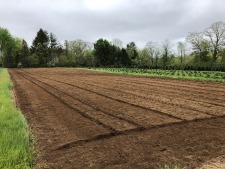 Paul Bunyan's Farm | Barn & Greenhouse | Western MA